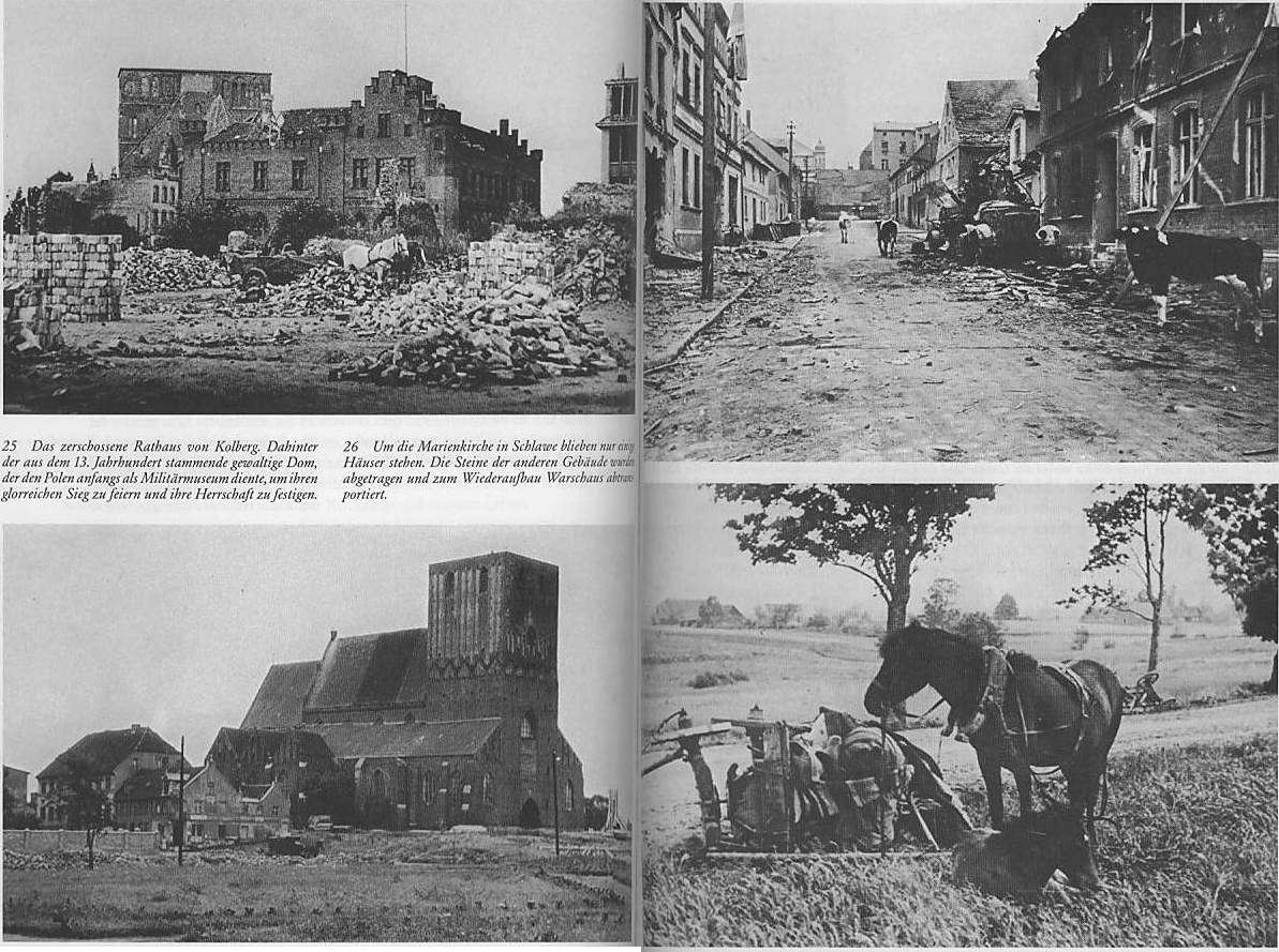 Pommern 1945 Endkampf Vertreibung Flucht Pomerania Chronik Geschichte Heimatbuch | eBay